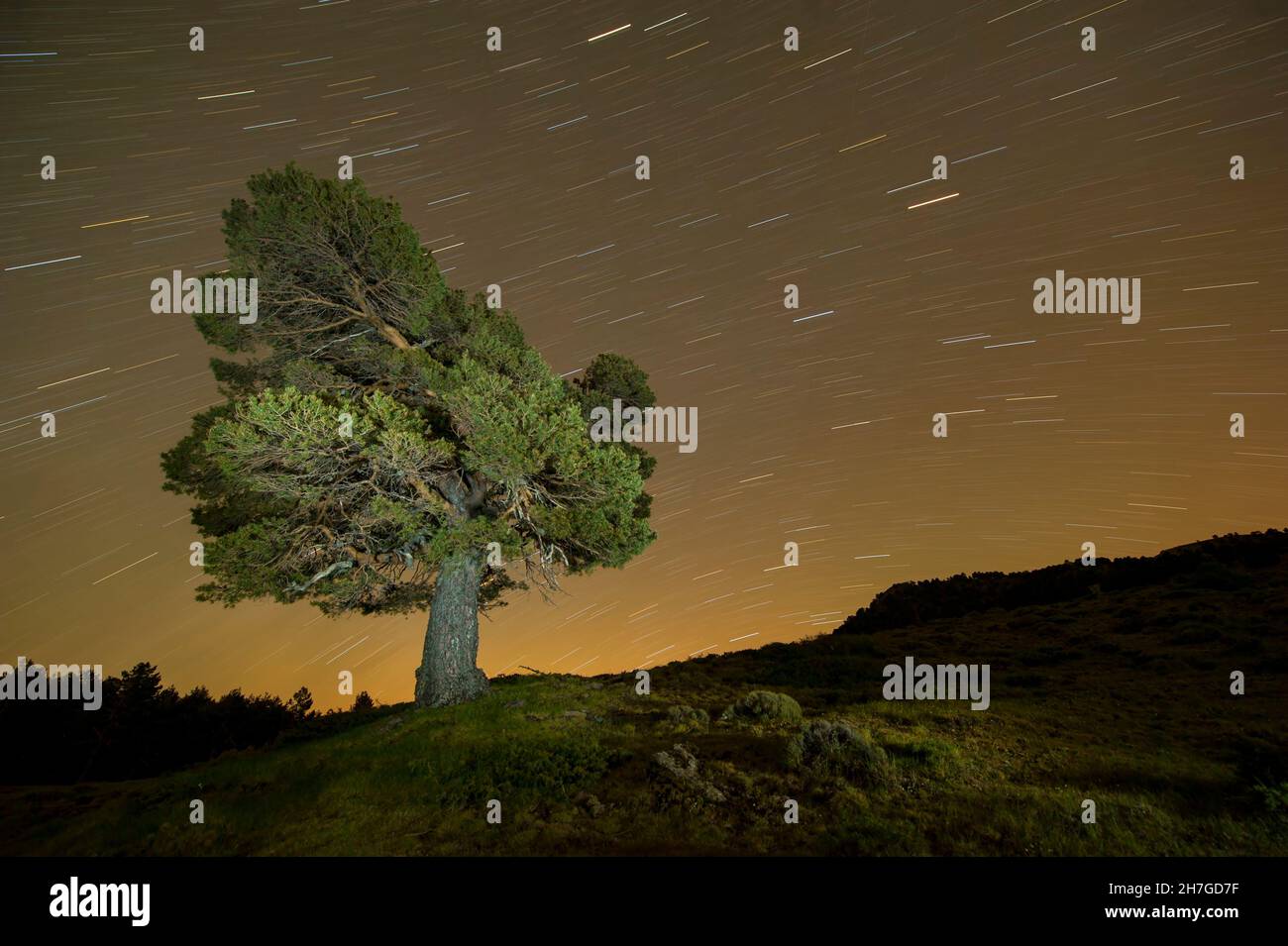 Circumpolar photograph hi-res stock photography and images - Alamy