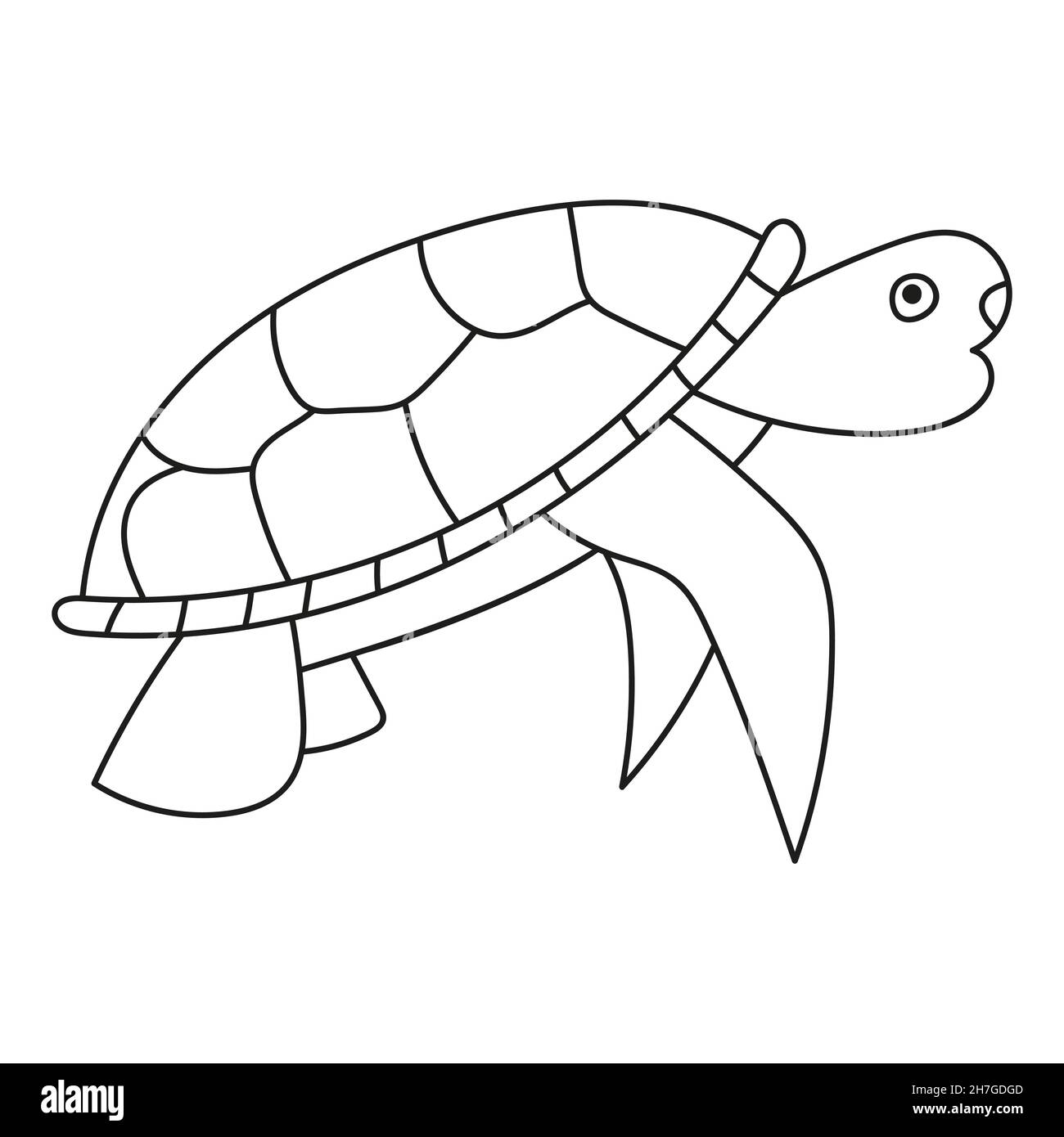 Vector line drawing of sea turtle. Single line art concept of aquatic ...