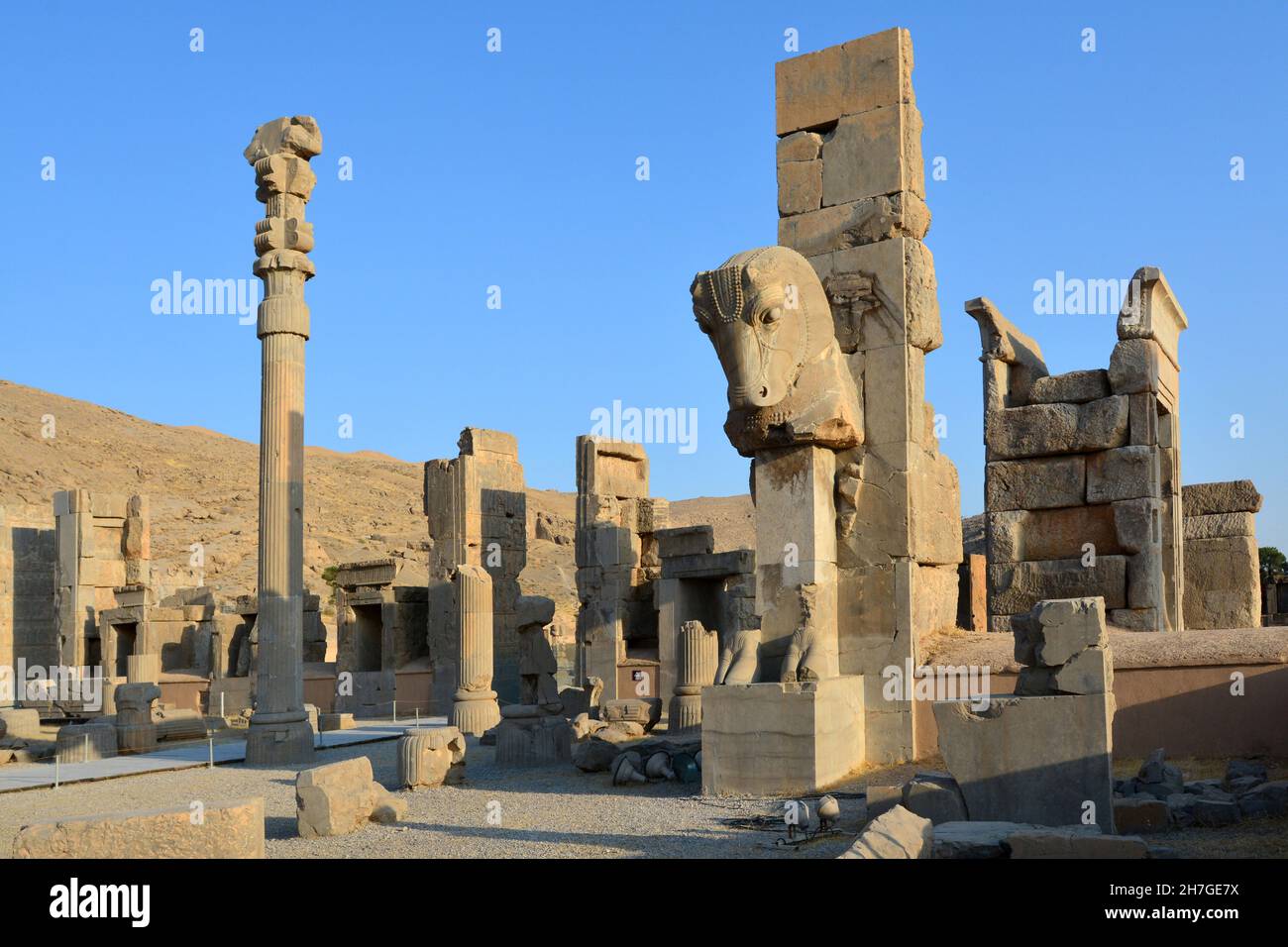 IRAN. SHIRAZ. PERSEPOLIS. THE BULL OF THE TEMPLE OF 100 COLUMNS OU ...