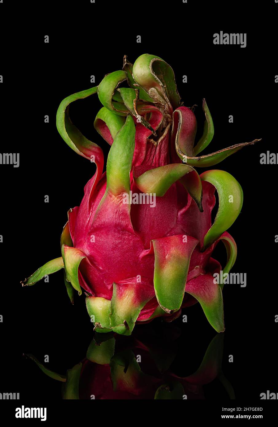 Dragon fruit vertically on black background with reflection Stock Photo ...