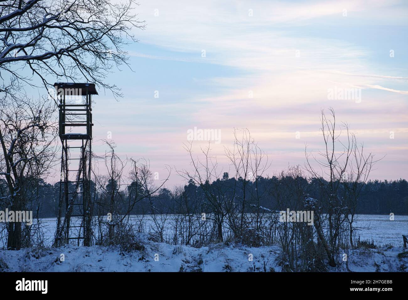 High stand for hunting in a winter snowy landscape. Snow and frost at ...