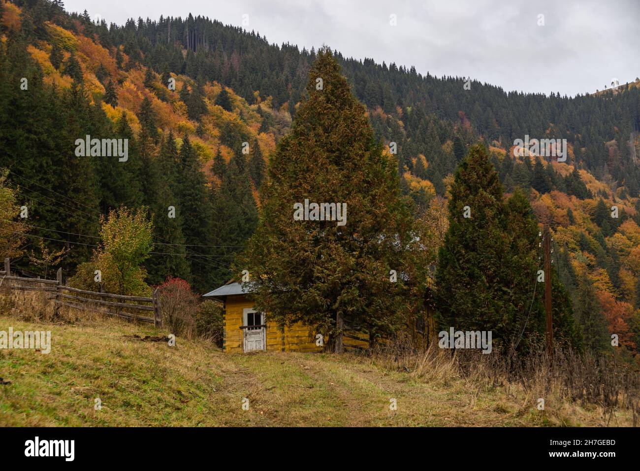 Autumn mountain landscape with fall colored forest and rural wooden ...