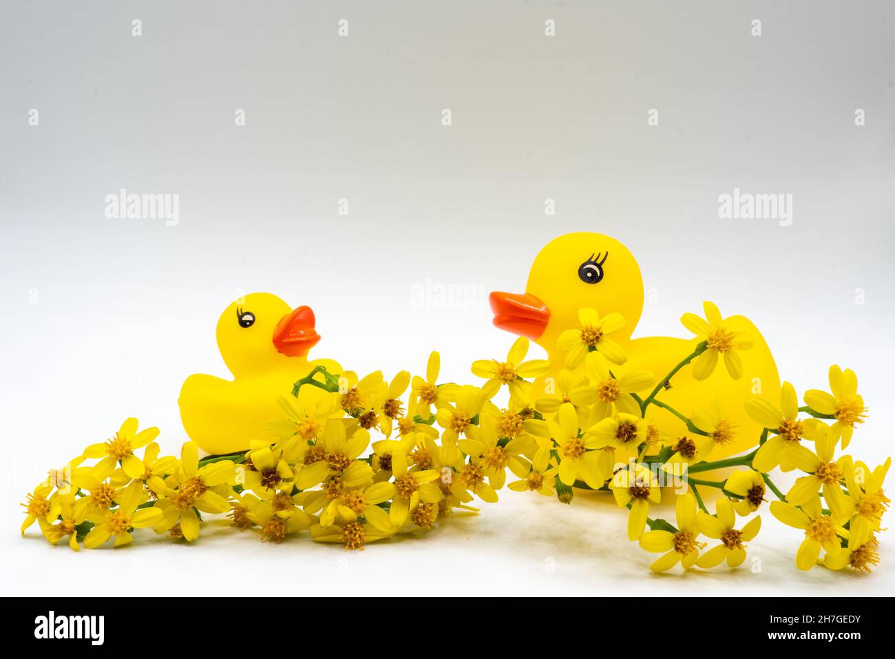 Baby and yellow flowers hi-res stock photography and images - Alamy