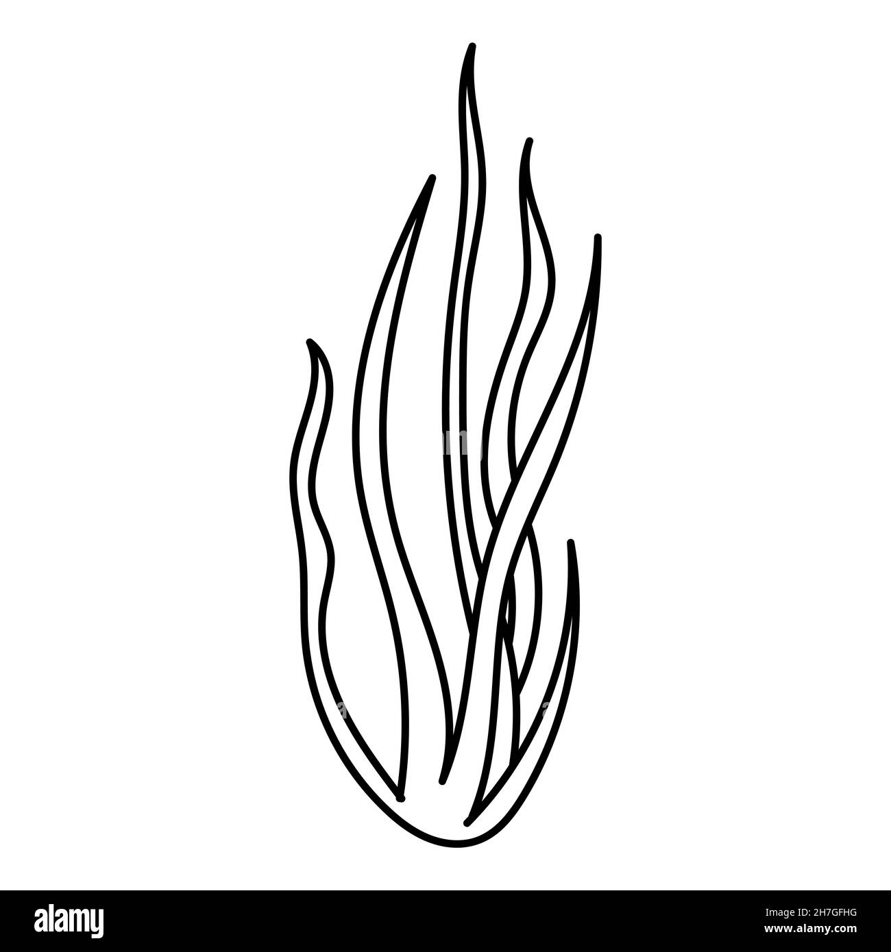 Seaweed Algae doodle vector illustration. Vector, isolated on a white ...