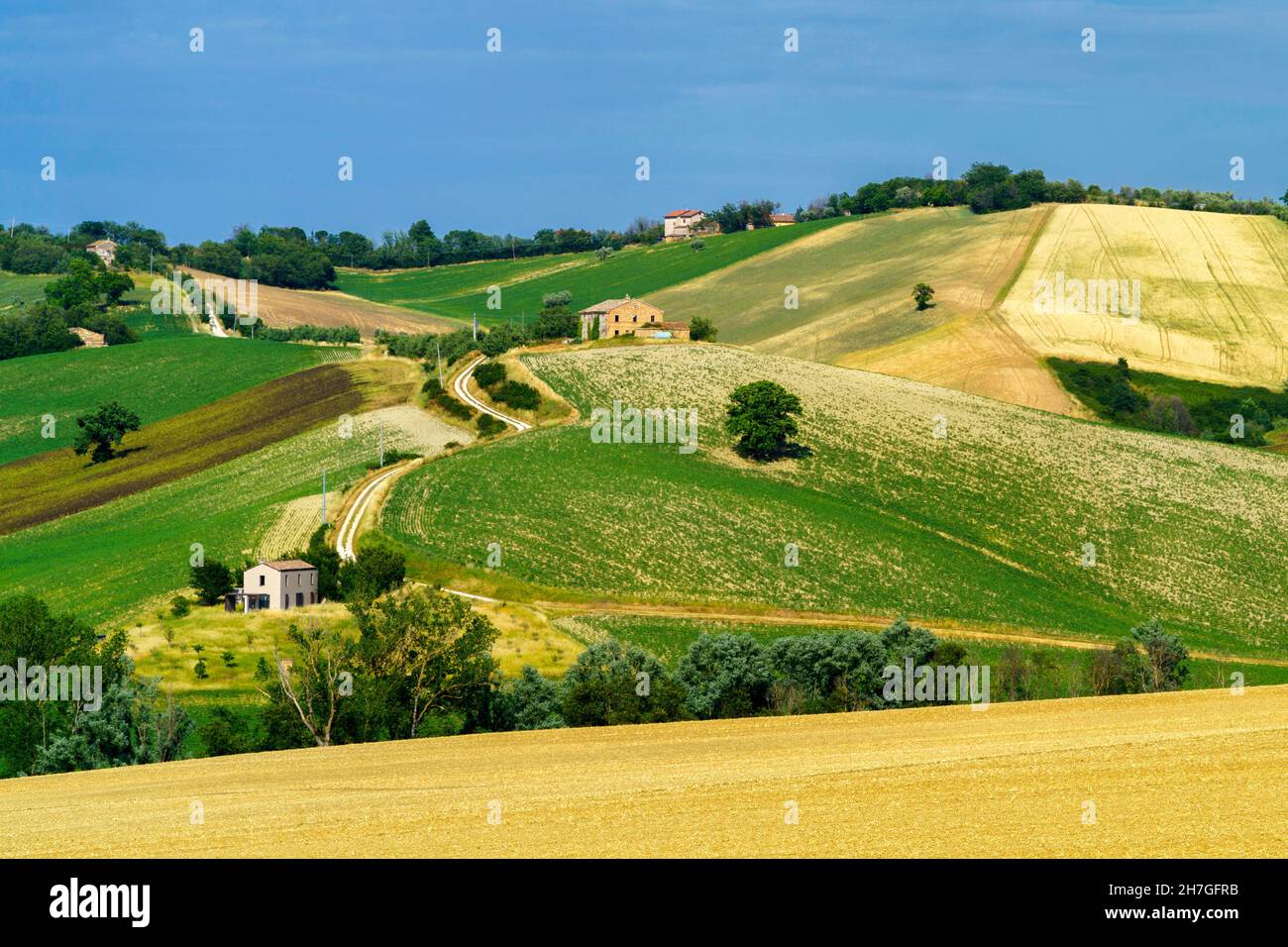 Country landscape along the road from Ostra Vetere to Cingoli, Ancona ...