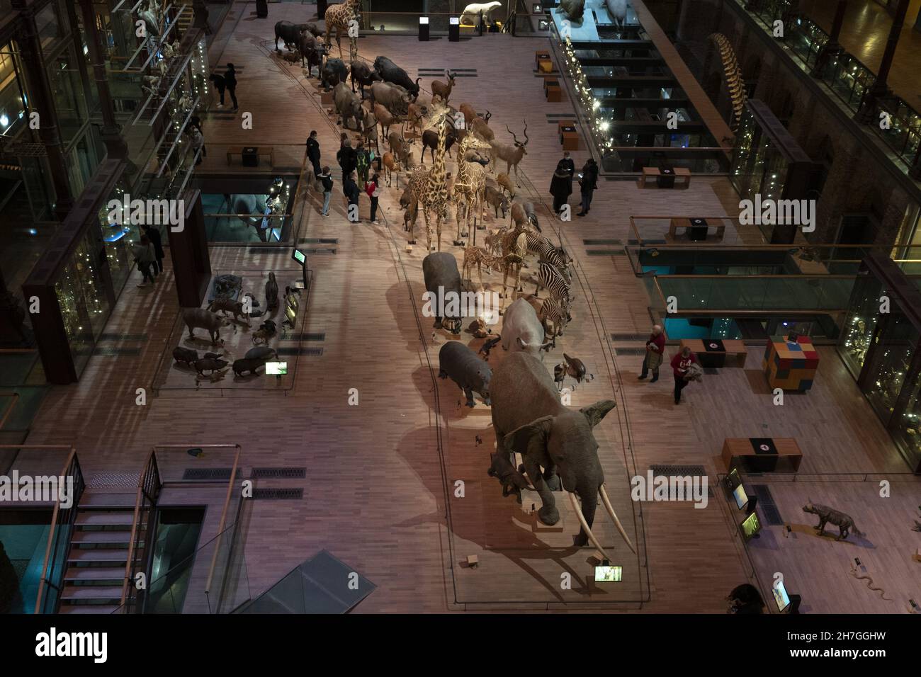 PARIS, FRANCE - NOVEMBER 18 2021 - Evolution Gallery Museum 7,000 ...