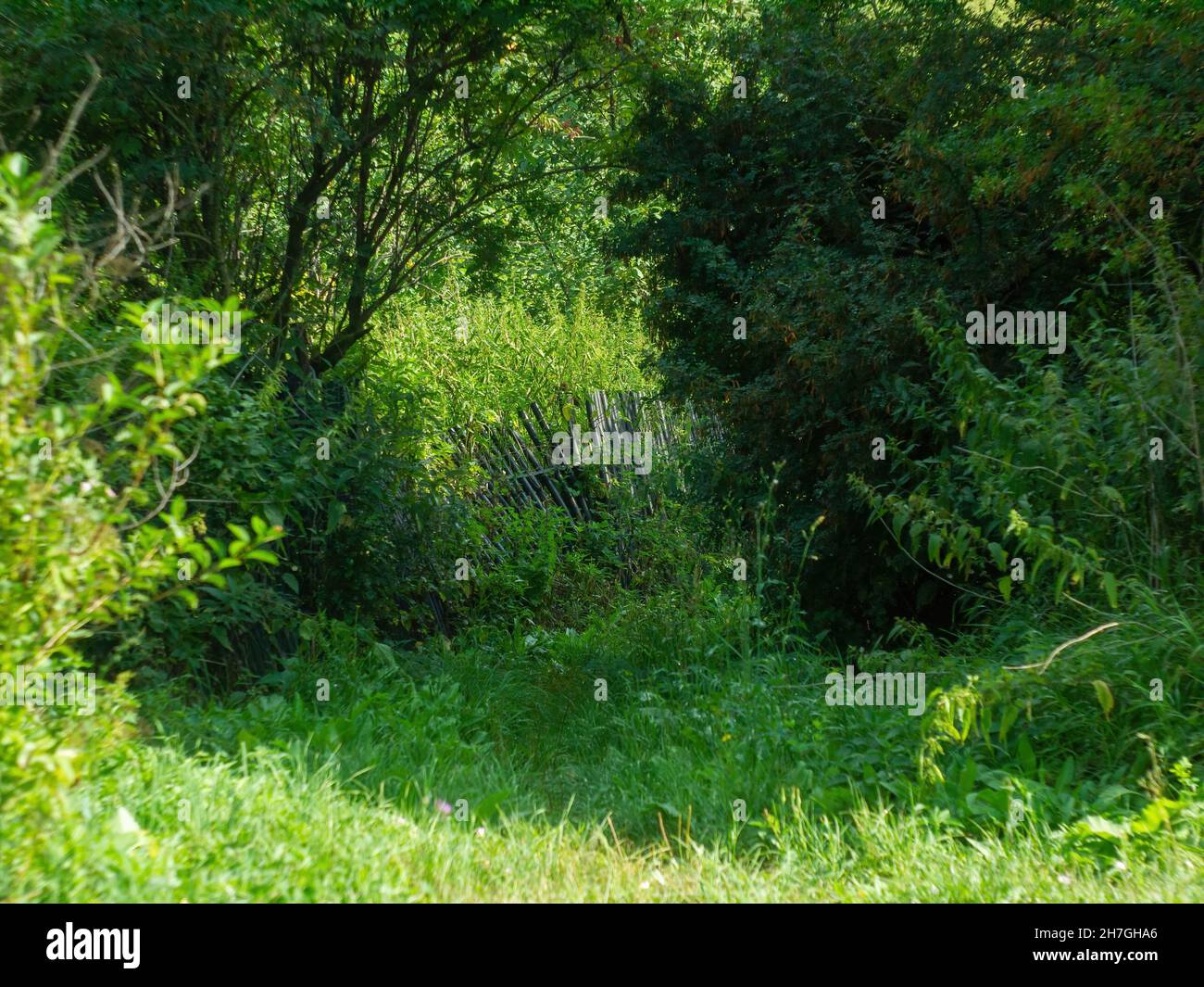 old fallen fence in the village, in summer Stock Photo - Alamy