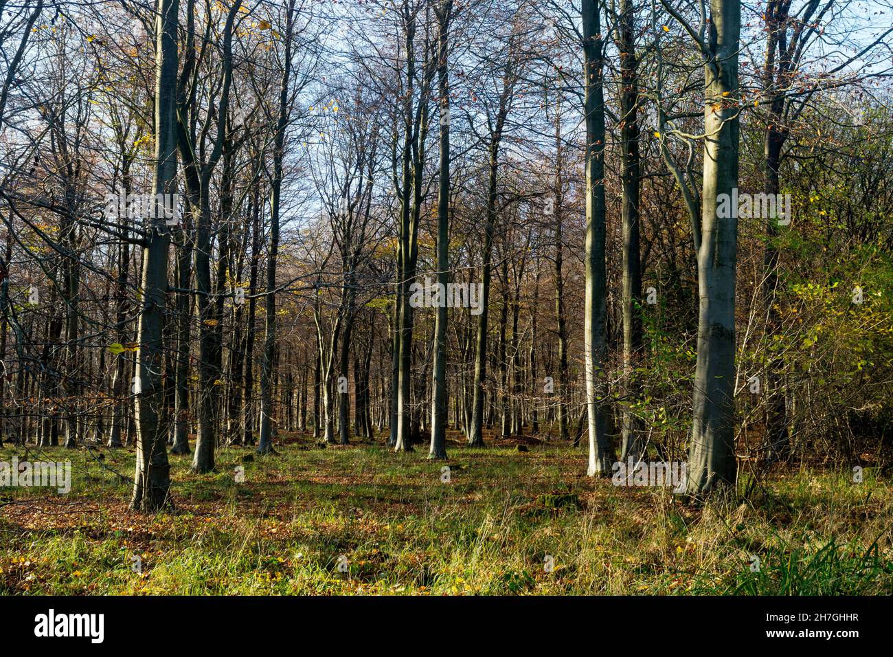 Farmcote estate hi-res stock photography and images - Alamy