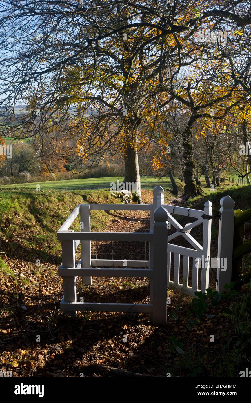 Farmcote Estate white gateway to Guiting Wood in autumn ...