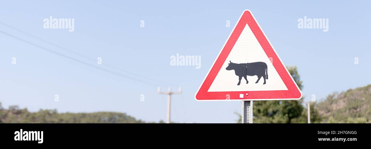 traffic safety signs on city street road. triangular danger sign of the ...