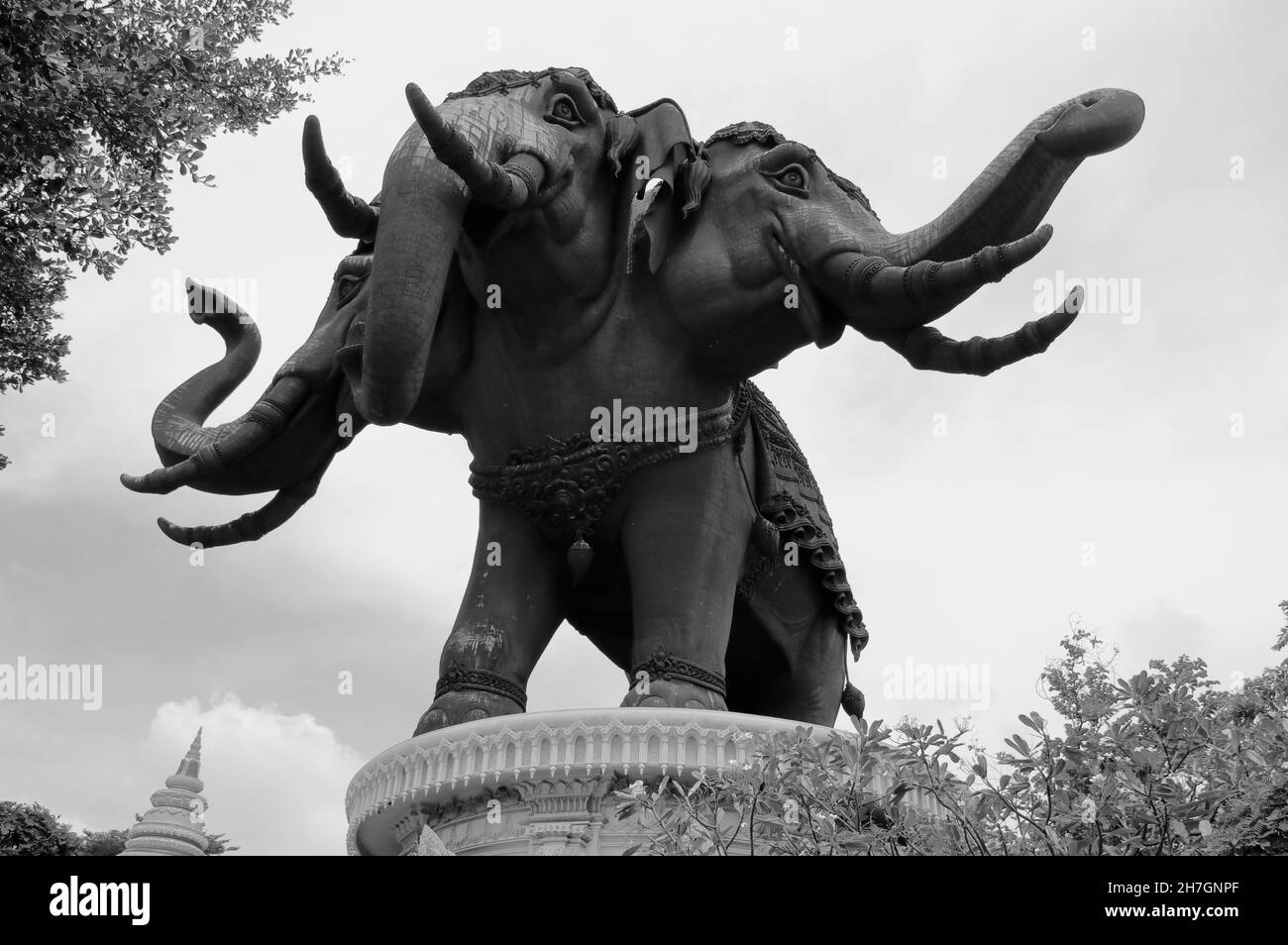 Three headed do Black and White Stock Photos & Images - Alamy
