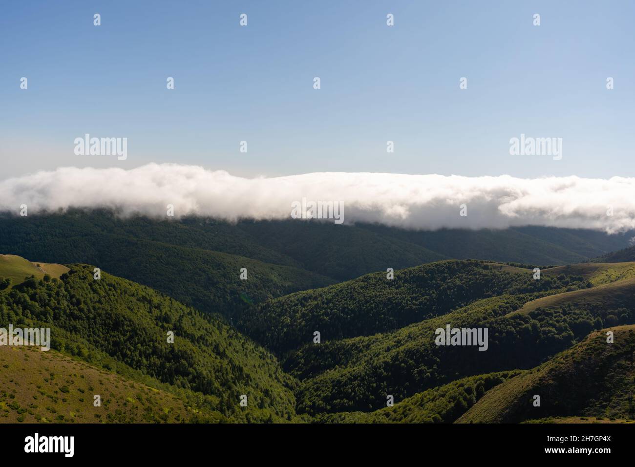 Forest blue sea landscape hi-res stock photography and images - Alamy