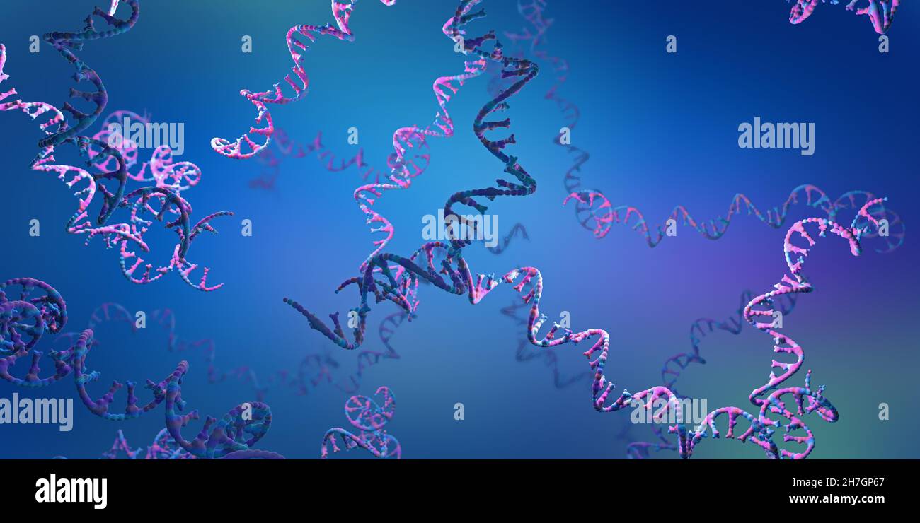 Ribonucleic acid strands consisting of nucleotides important for ...