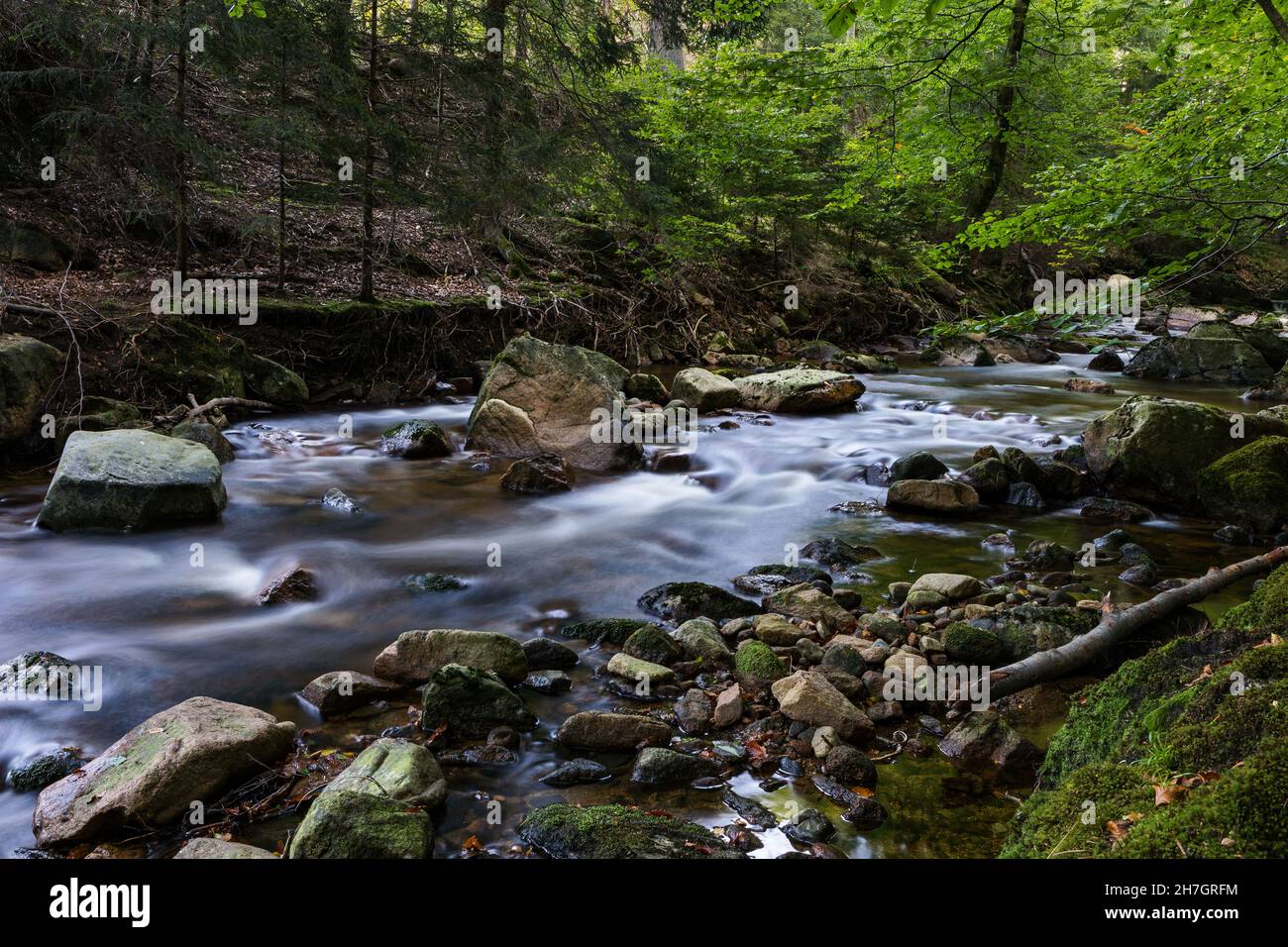 Beautiful scenery of the water and trees in the Harz Mountains, Saxony ...