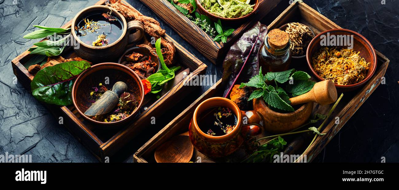 Medicinal plants and roots in alternative medicine.Herbal medicine ...