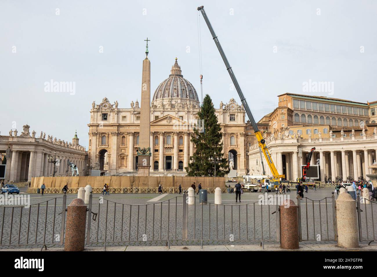 Vatican City, Vatican. 23rd Nov, 2021. A Christmas tree seen being ...