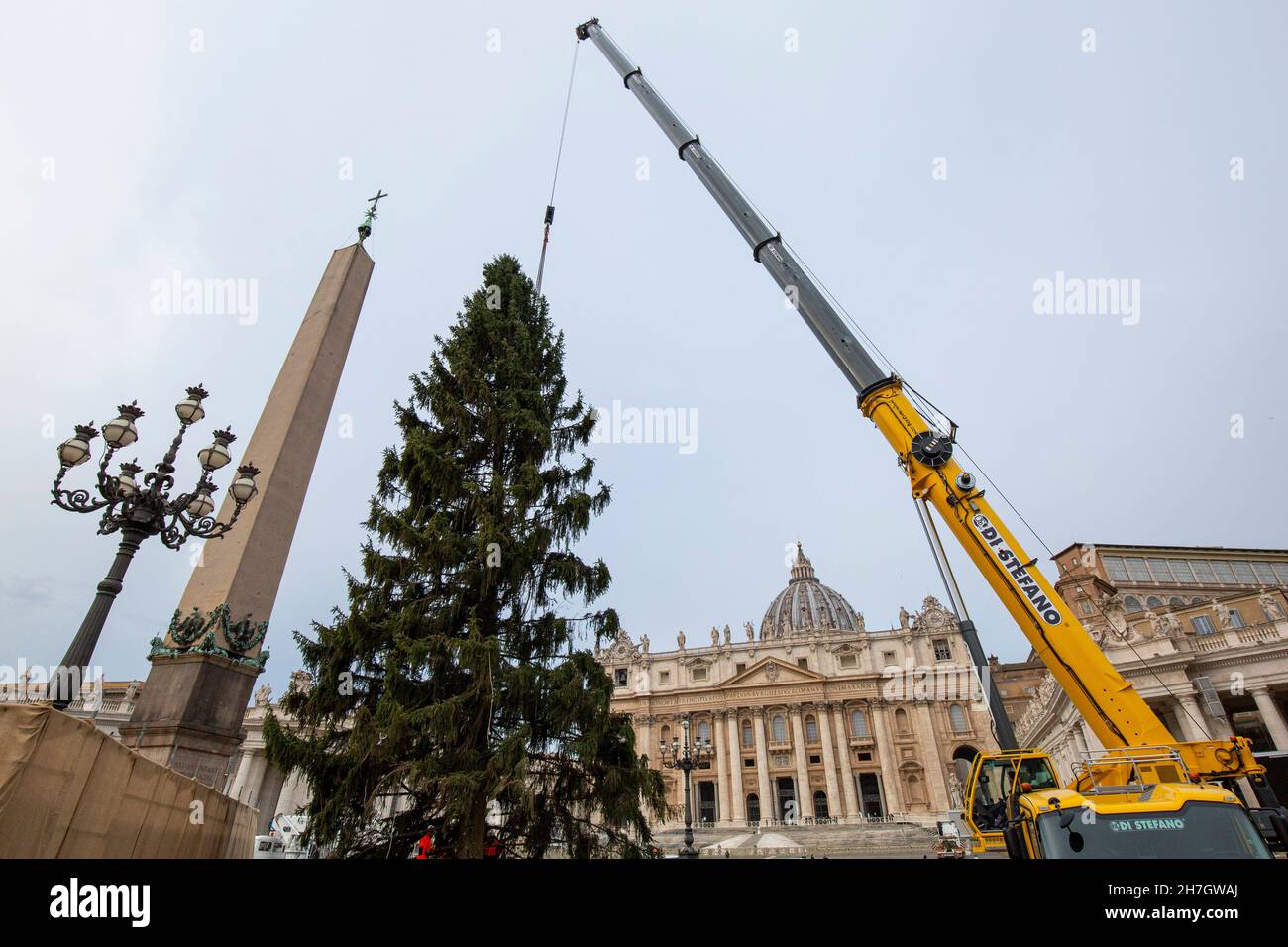 A Christmas tree seen being setup at St. Peter's Square, Vatican City ...