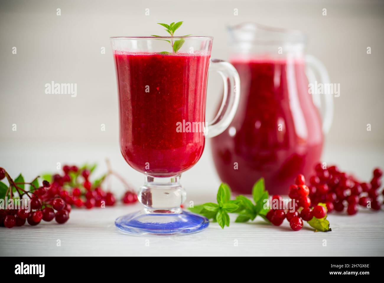freshly squeezed thick natural juice with pulp from ripe red viburnum ...