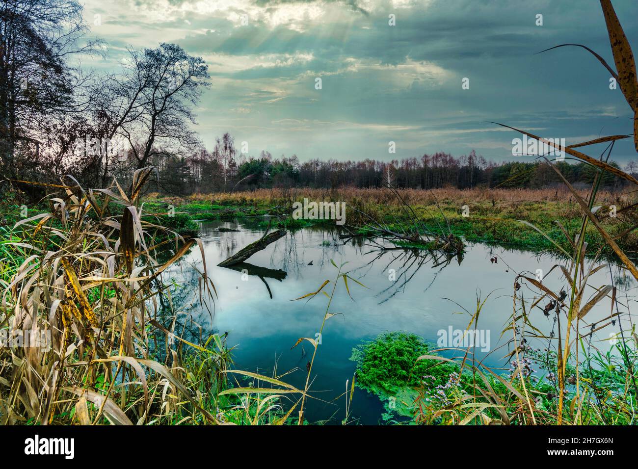 Sleepy nature hi-res stock photography and images - Alamy