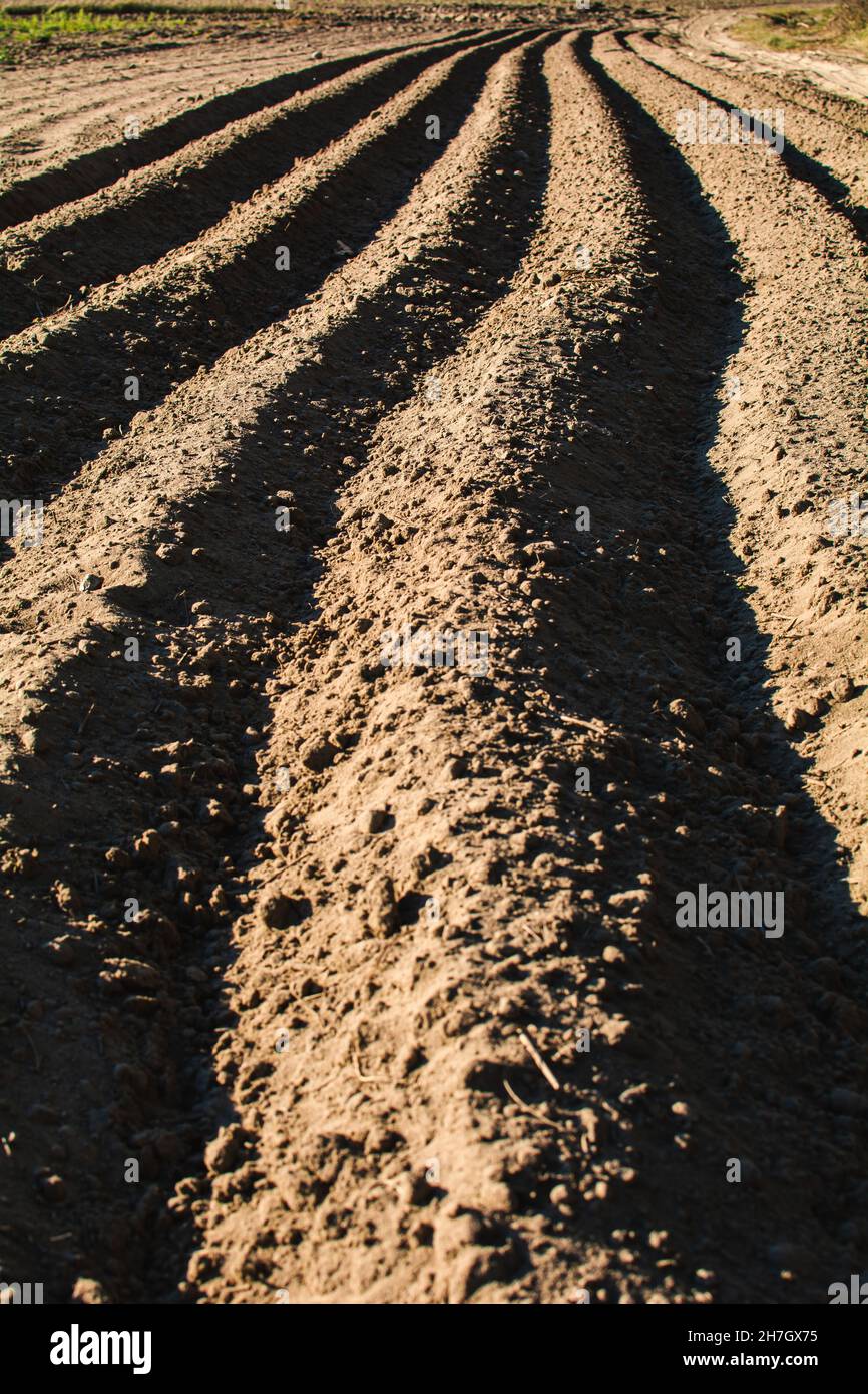 Sleepy nature hi-res stock photography and images - Alamy