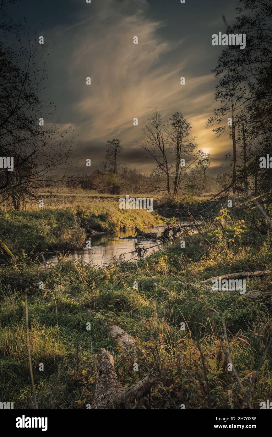 Autumn colors in sleepy nature, Poland Stock Photo - Alamy