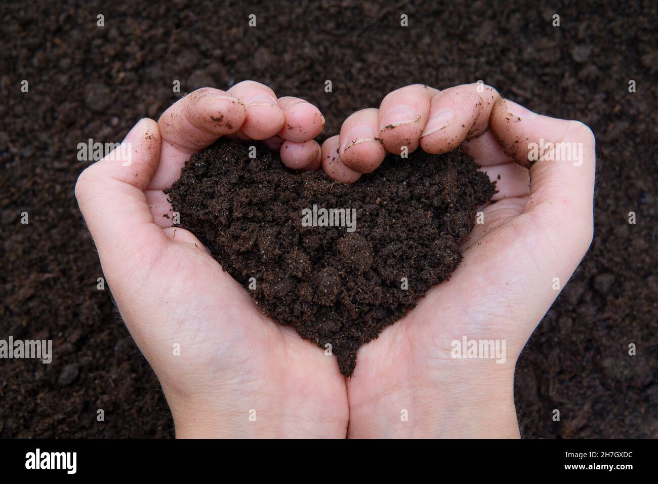 Female hands holding a heart shaped pile of soil. Earth day concept ...