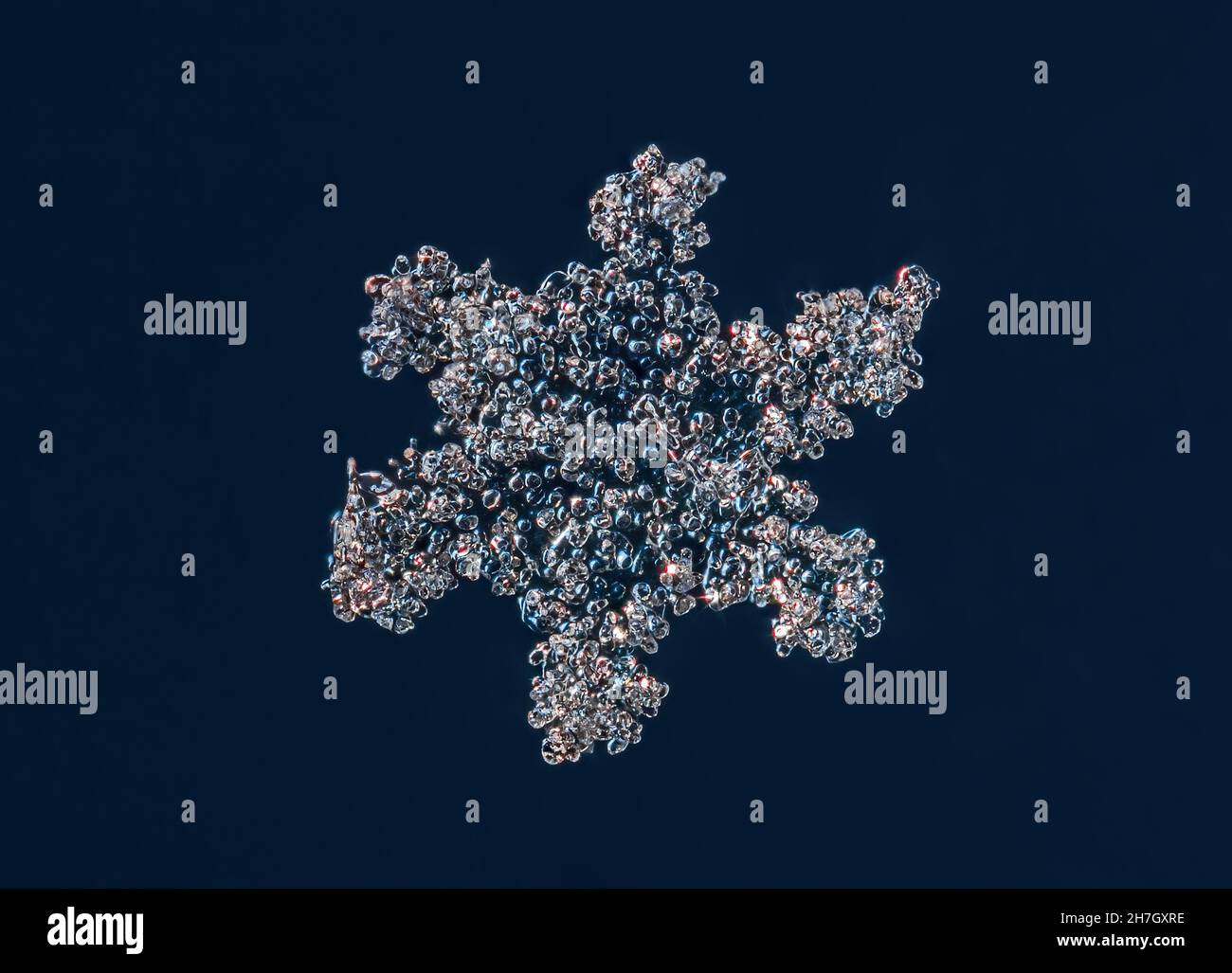 Real snowflake at high magnification. Macro photo of small snow bubbly ...