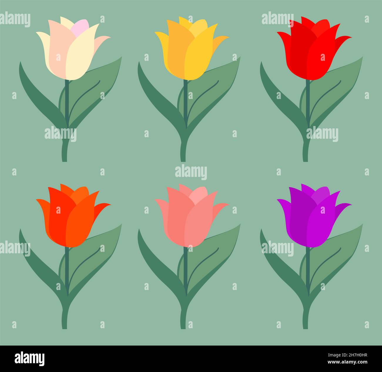 Colorful cartoon tulip flower set on green background. Vector ...