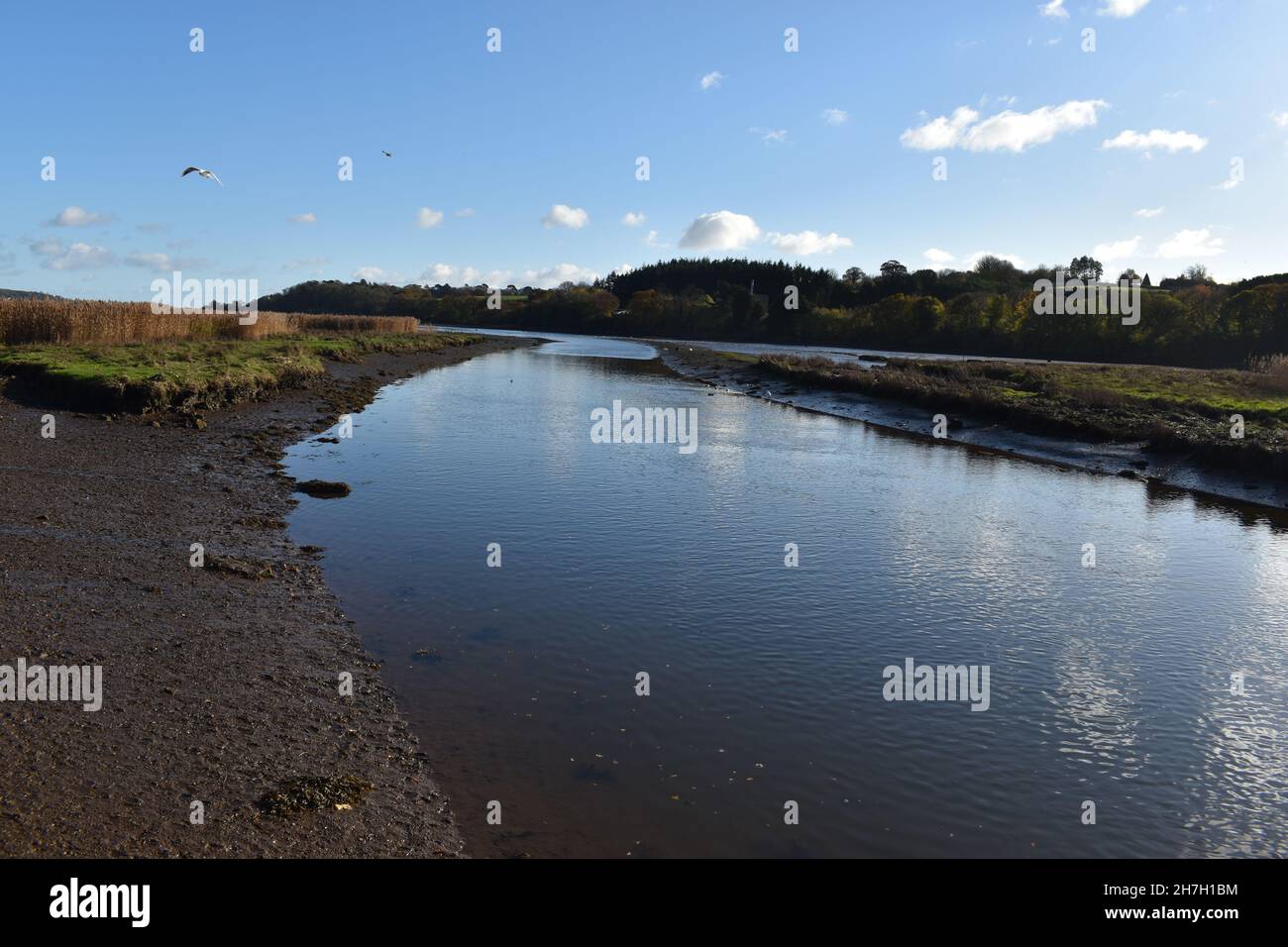 Hackney Marsh Devon heading to the Teign Estuary with the canal joining ...