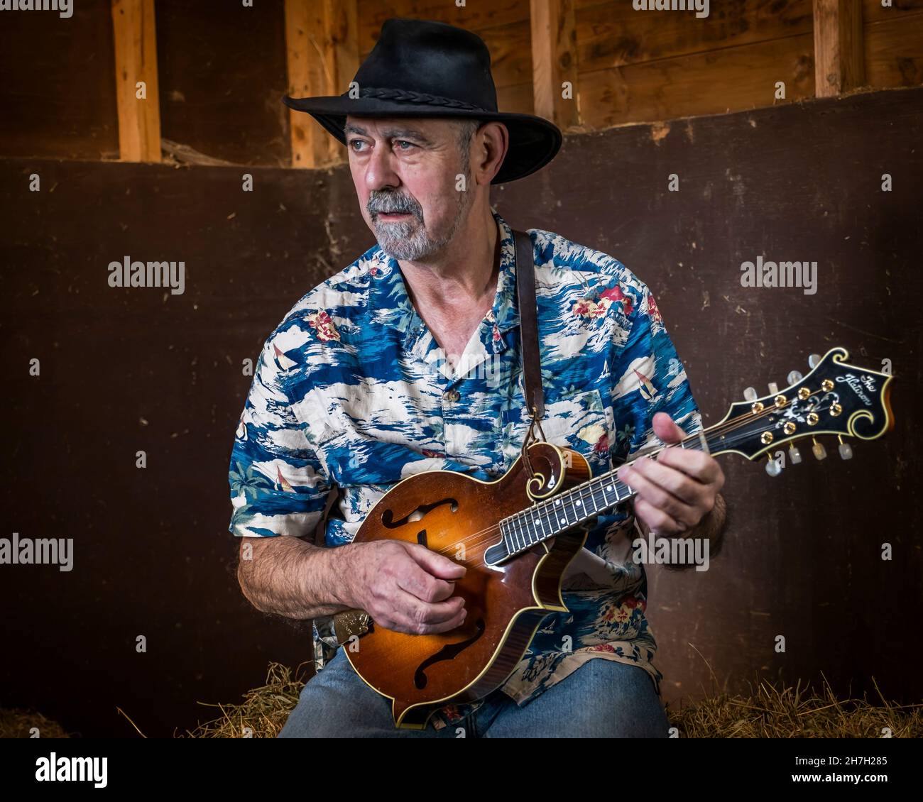 A man playing a mandolin in a stable Stock Photo - Alamy