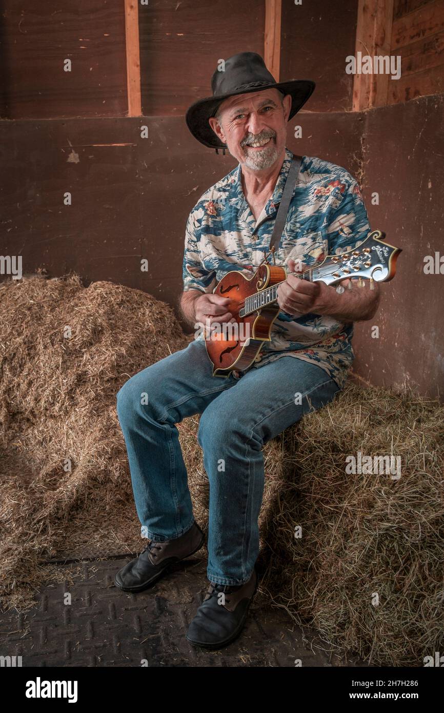 A man playing a mandolin in a stable Stock Photo - Alamy