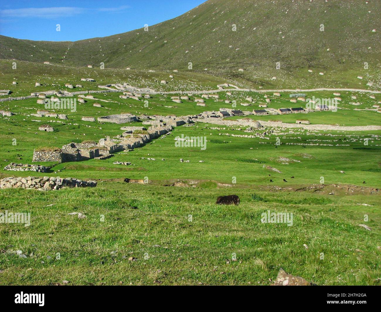 Ruins in the field near the Bay village, Scotland, UK Stock Photo - Alamy