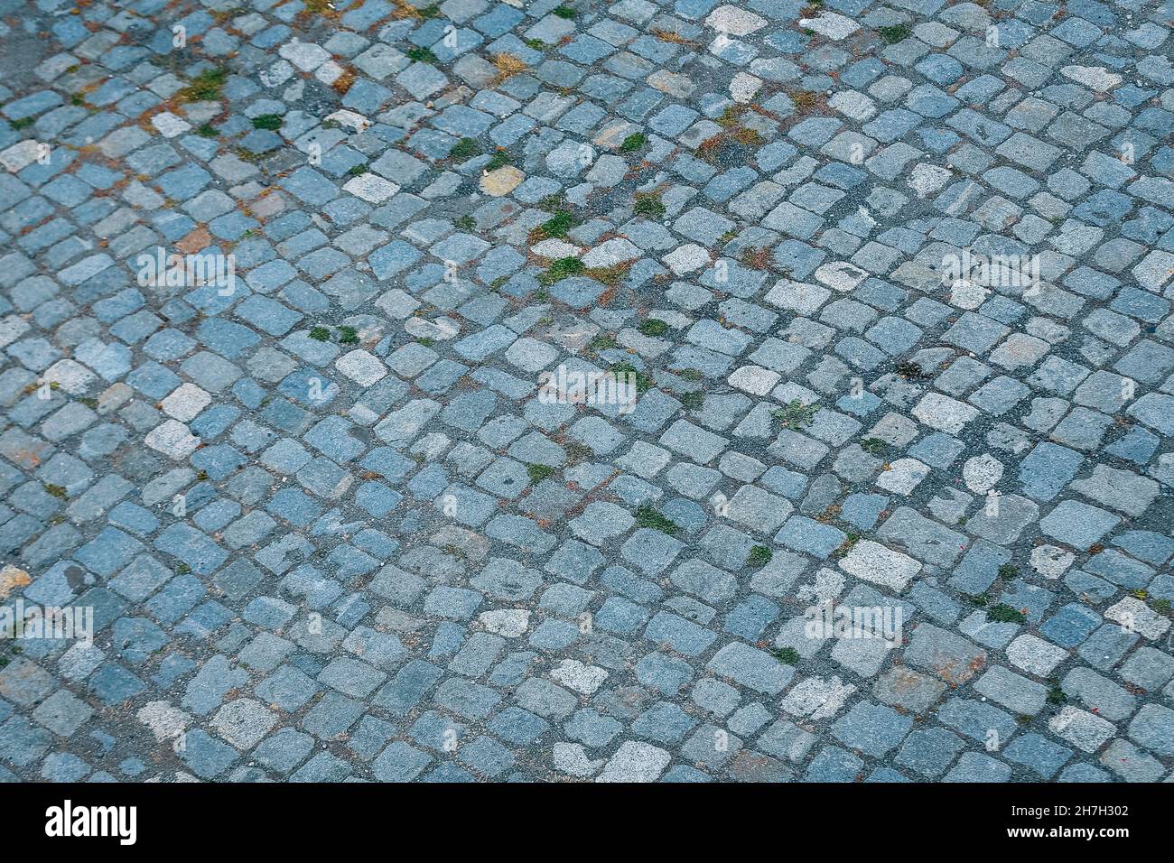Pavement covered in old cobblestones in the daylight Stock Photo - Alamy