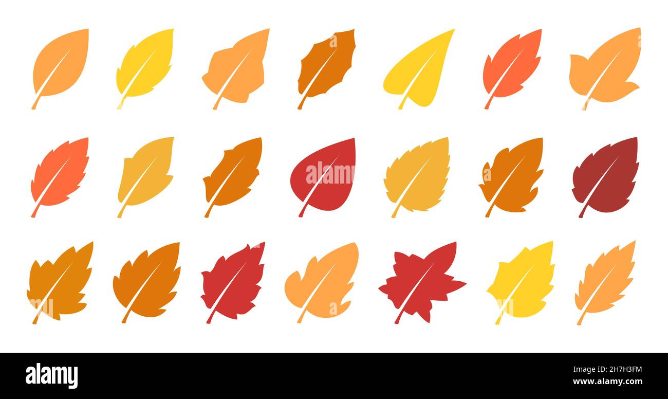 Autumn leaves set Stock Vector Image & Art - Alamy