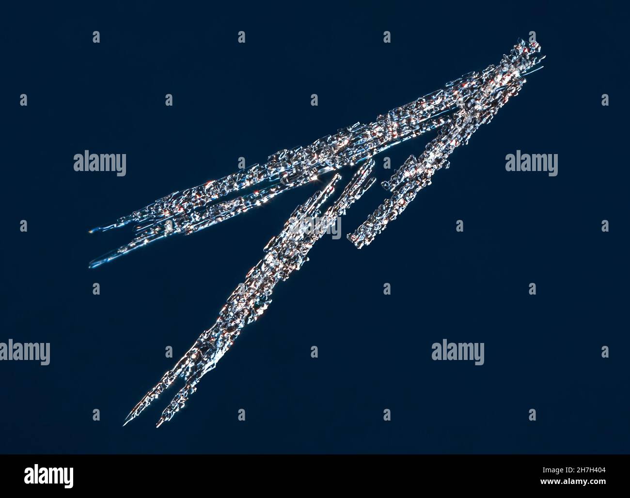Real needle snowflake at high magnification. Macro photo of small ...