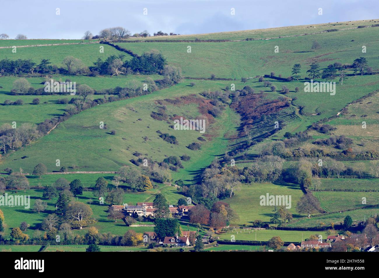 Somerset Cheddar High Resolution Stock Photography and Images - Alamy