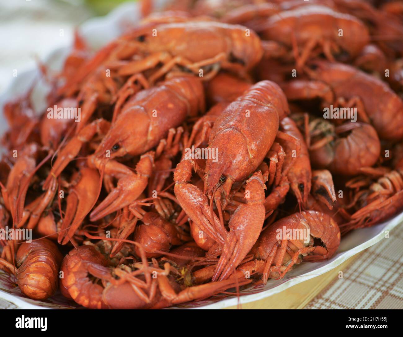 Lots of fresh hot crawfish, appetizer attache Stock Photo - Alamy