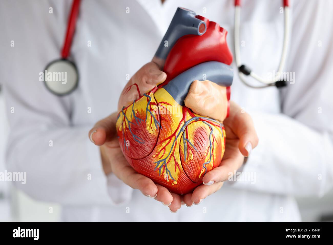 Artificial heart anatomy hi-res stock photography and images - Alamy