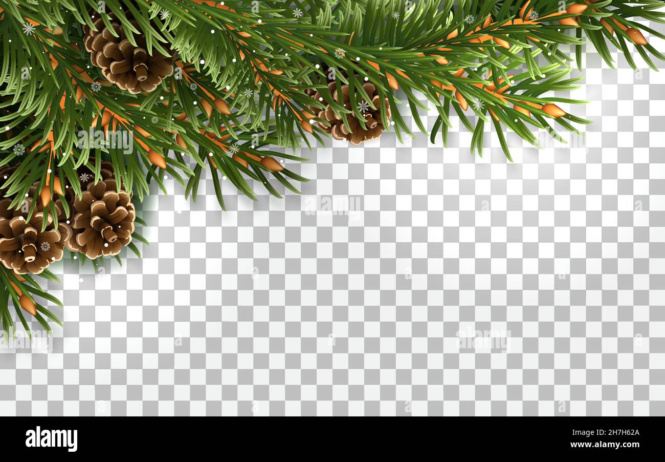 Corner frame of evergreen spruce branches, pine cones and snowflakes ...