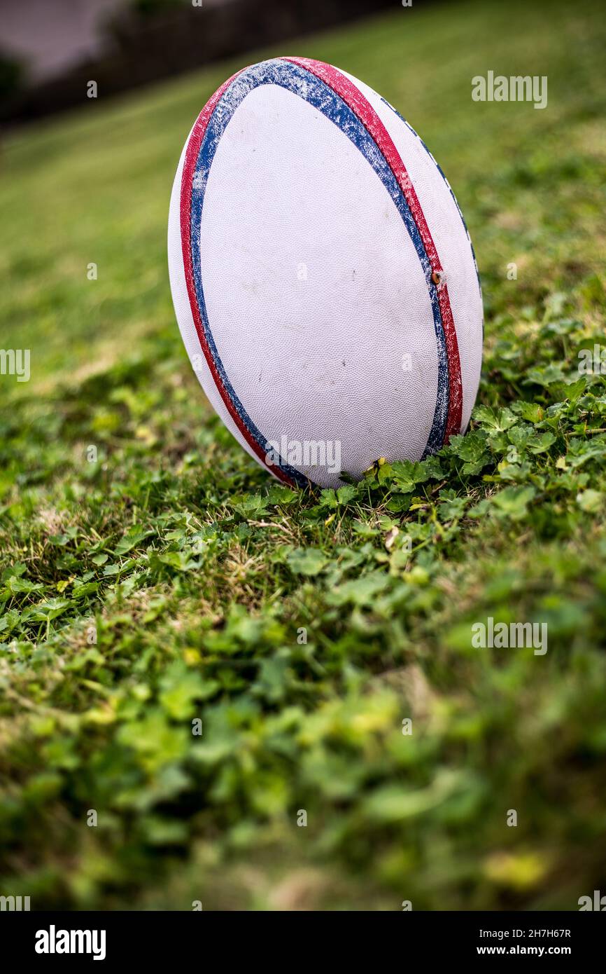 Rugby ball , Gilbert ,on sports field with green grass for the game of ...