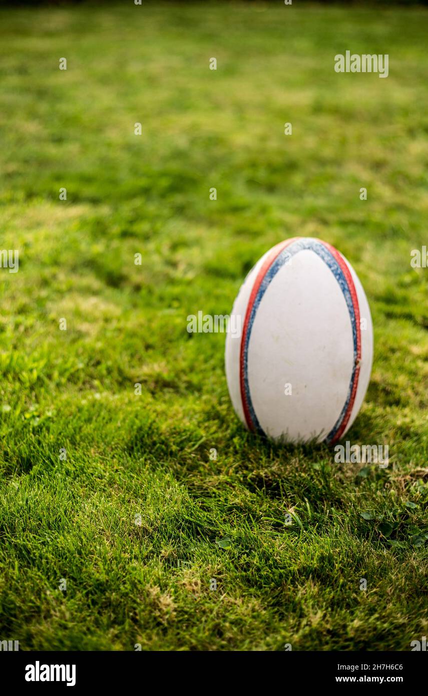 Rugby ball , Gilbert ,on sports field with green grass for the game of ...