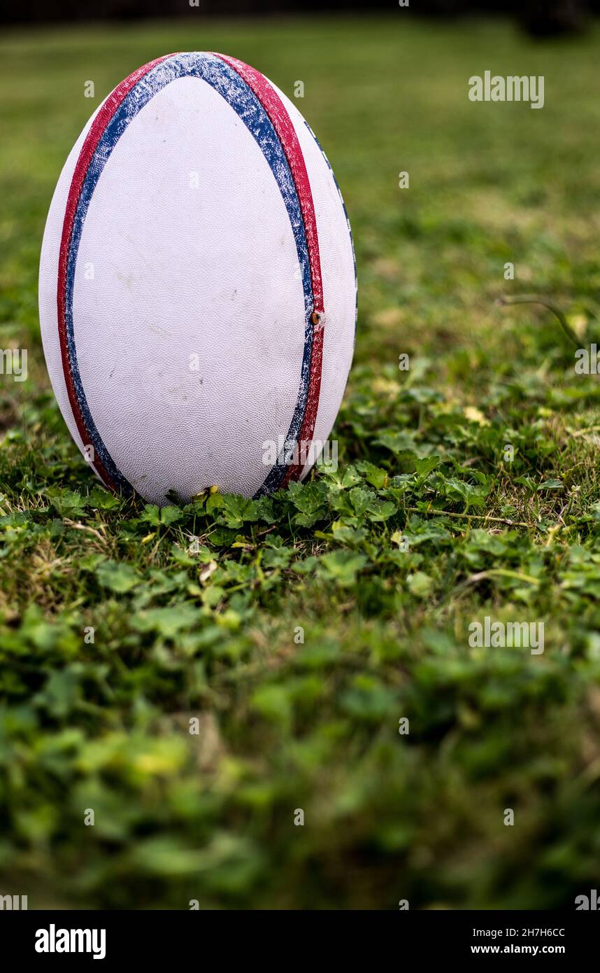 Rugby ball , Gilbert ,on sports field with green grass for the game of ...