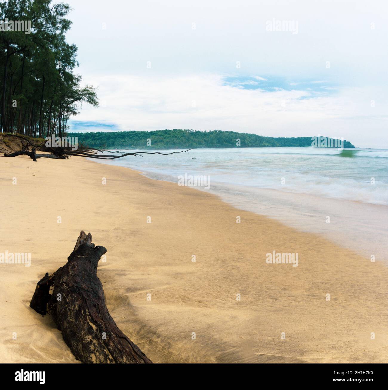 Galgibaga Beach - Goa, India Stock Photo - Alamy