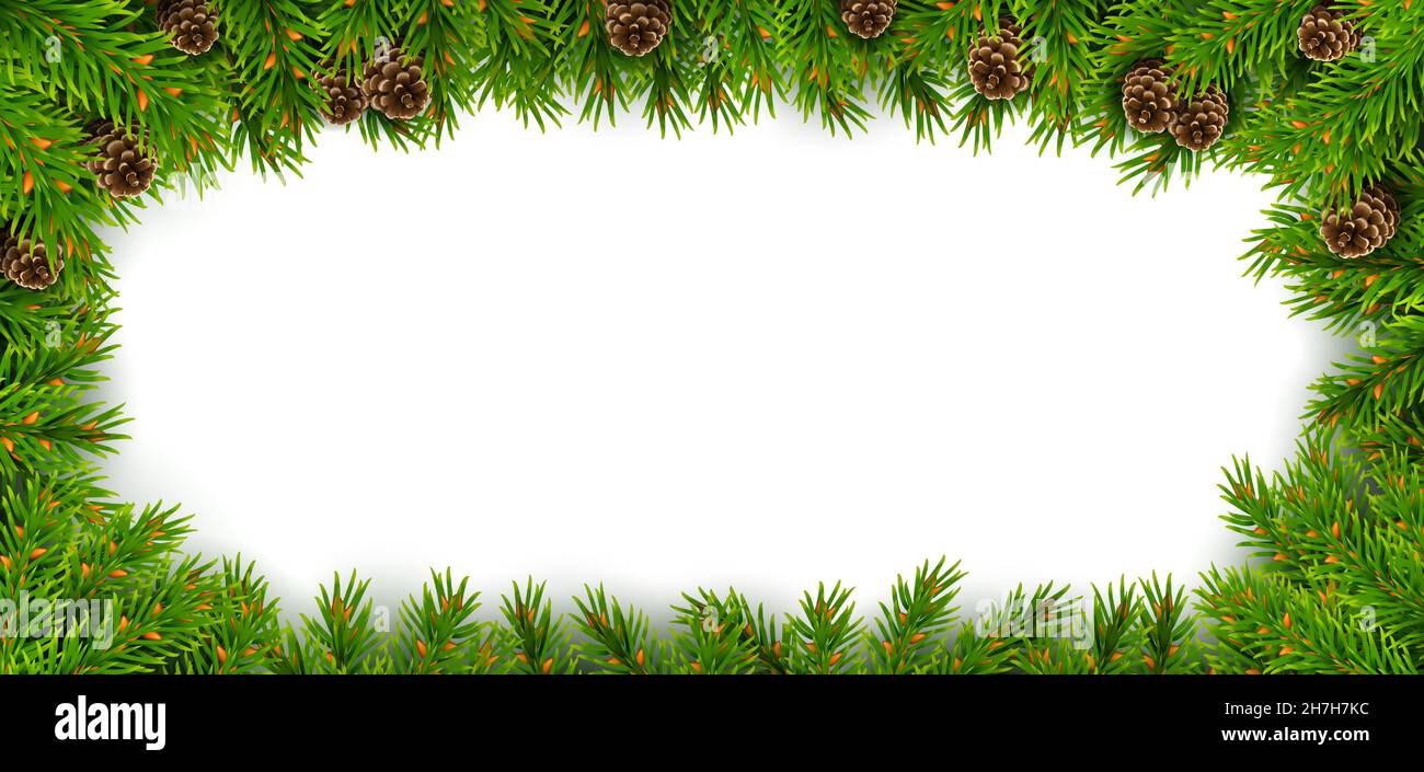 Rectangular perimeter border made of evergreen spruce branches, pine ...
