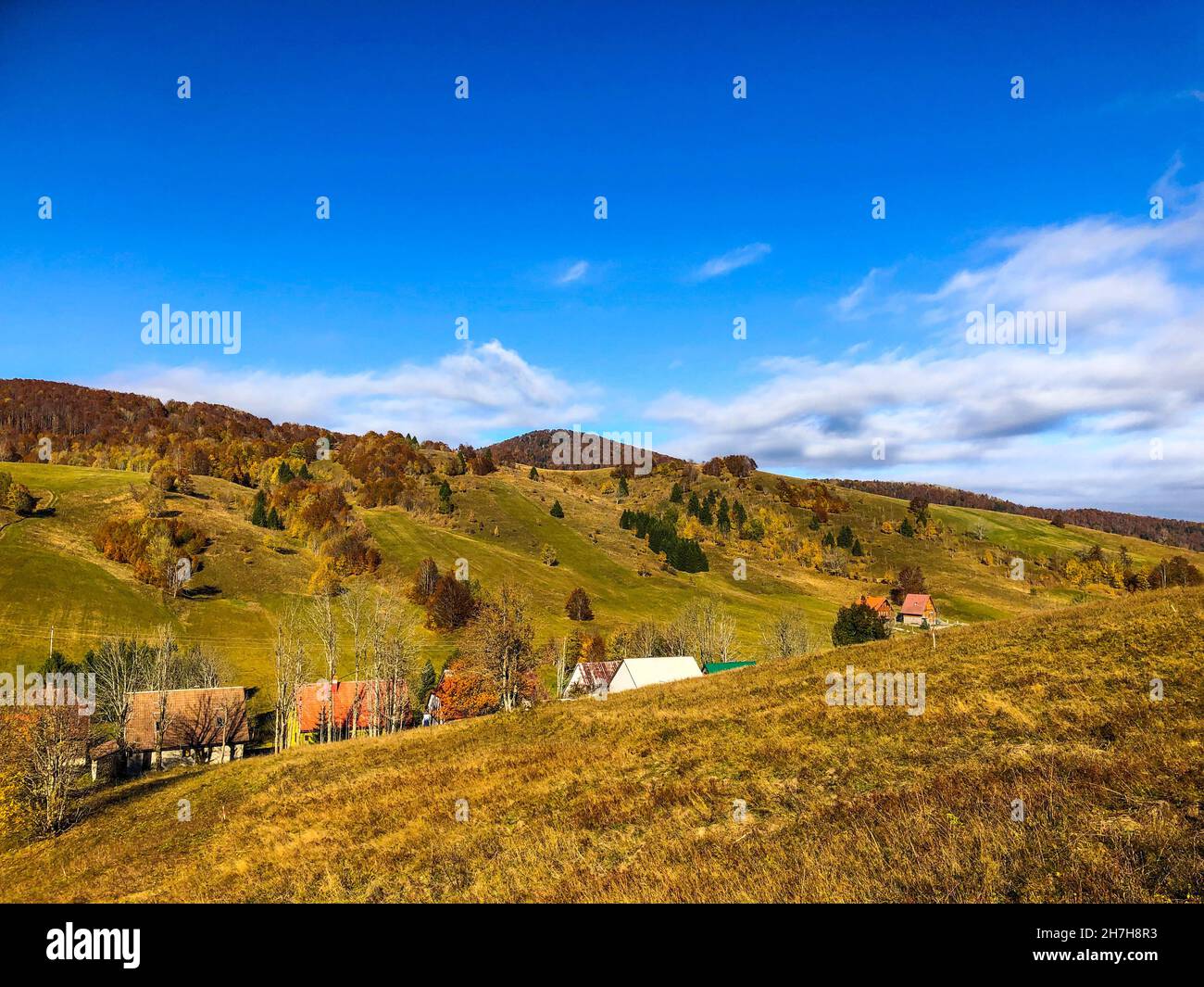 Colorful autumn trees in the beautiful meadow with hills and the blue ...