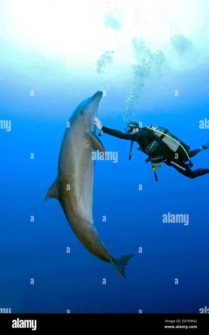 FRENCH POLYNESIA. TUAMOTU ARCHIPELAGO. RANGIROA ISLAND. TIPUTA PASS ...