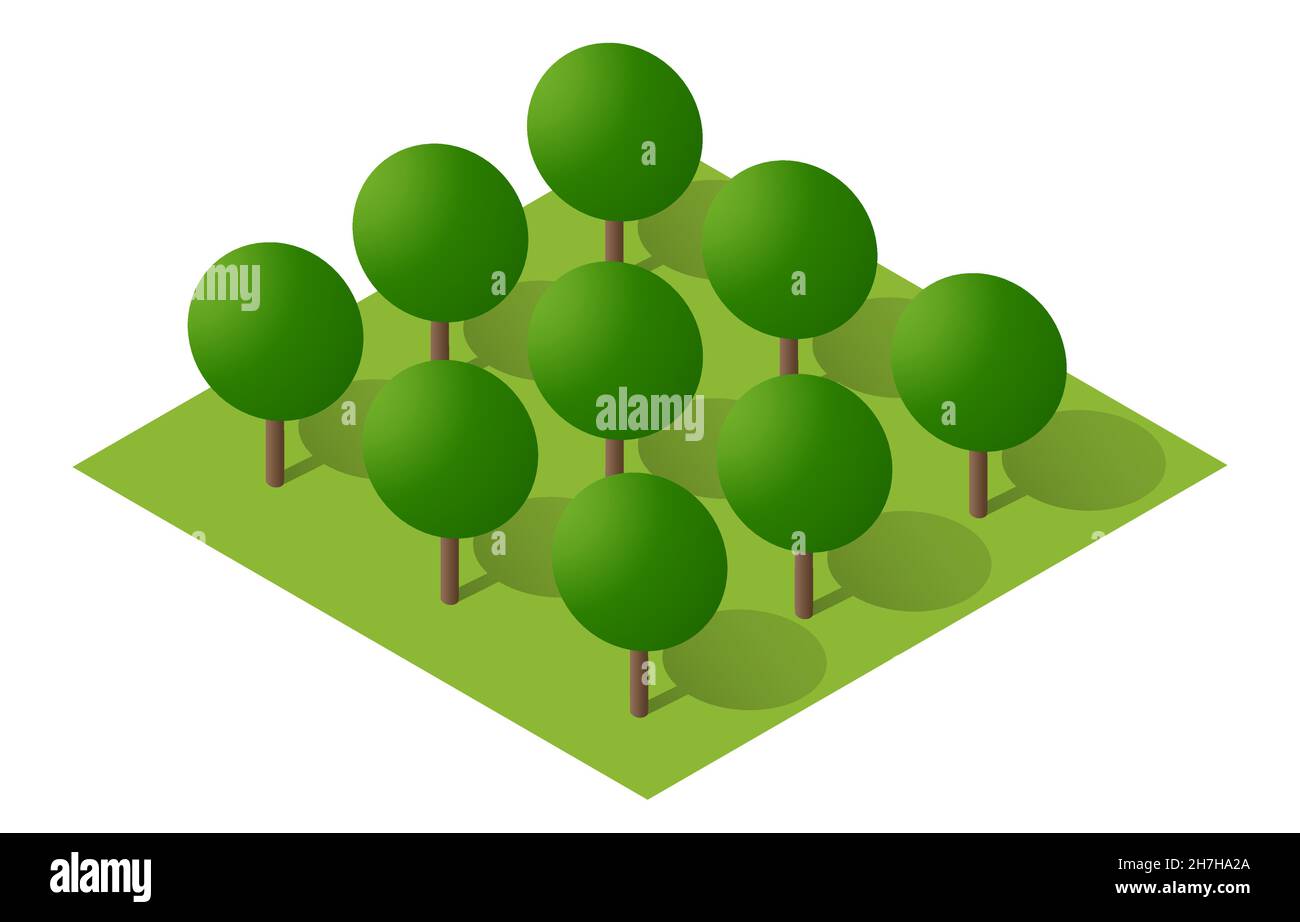 Isometric 3d illustration park trees forest nature Stock Vector Image ...