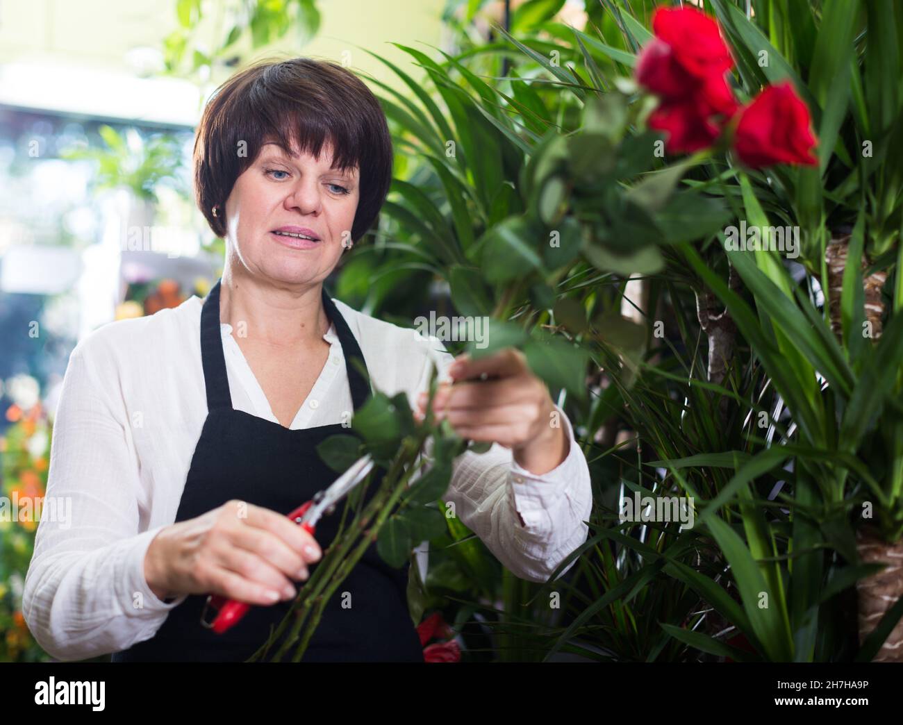 Woman tending roses hi-res stock photography and images - Alamy