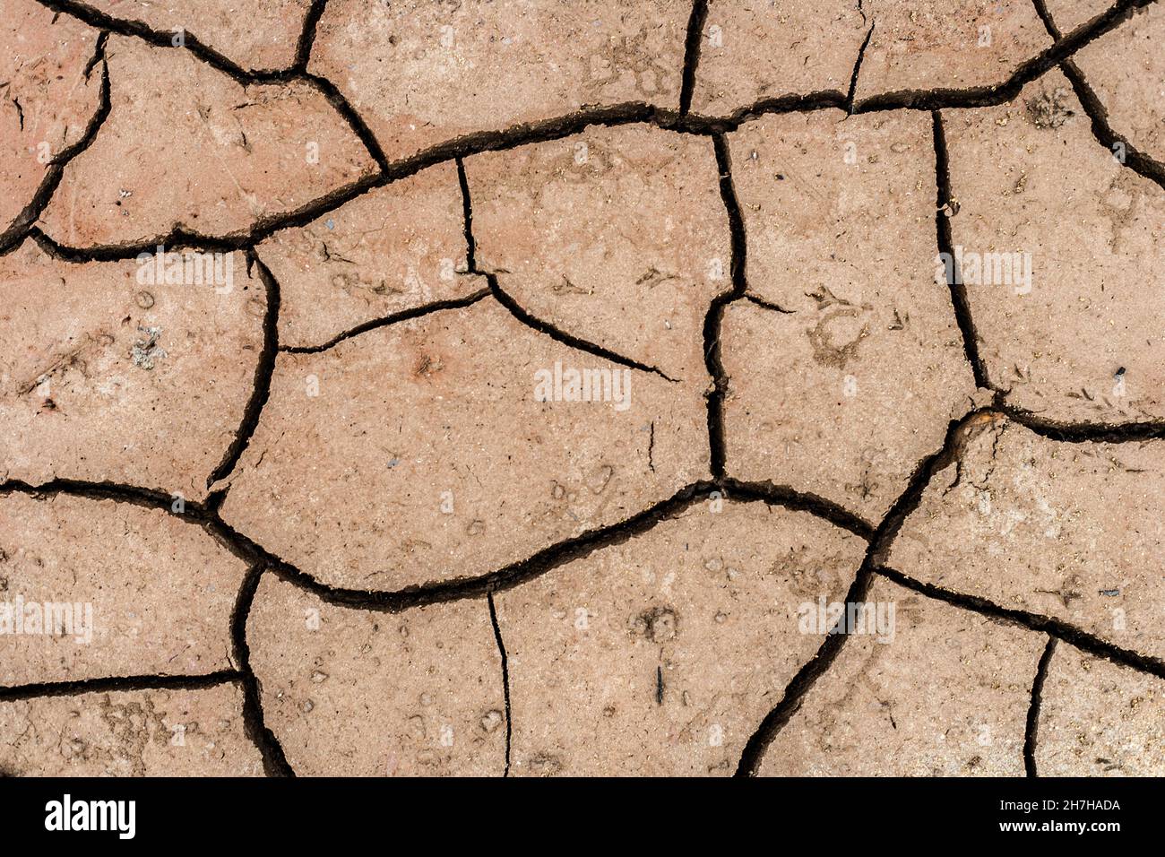 cracked earth texture background Stock Photo - Alamy