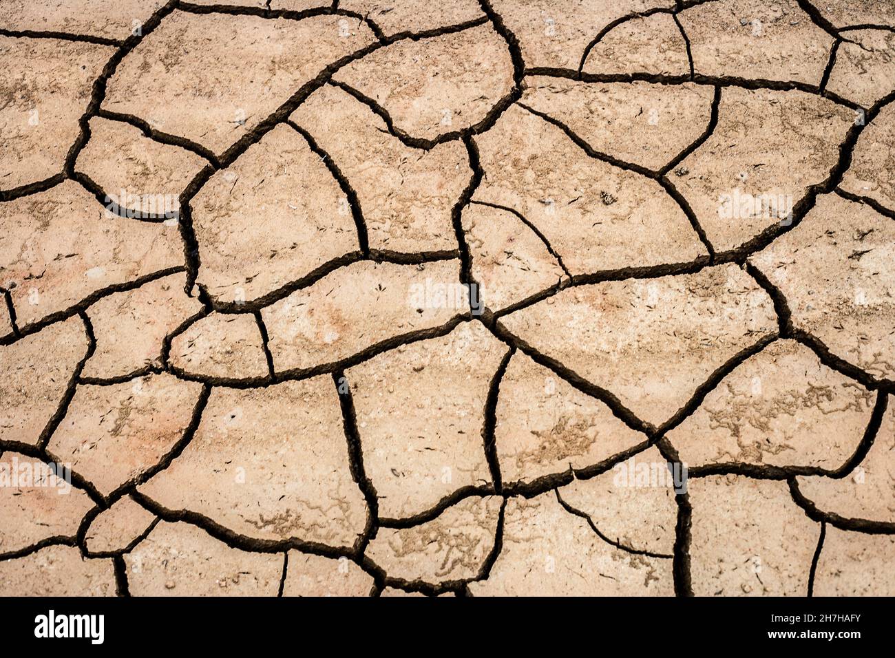 cracked earth texture background Stock Photo - Alamy